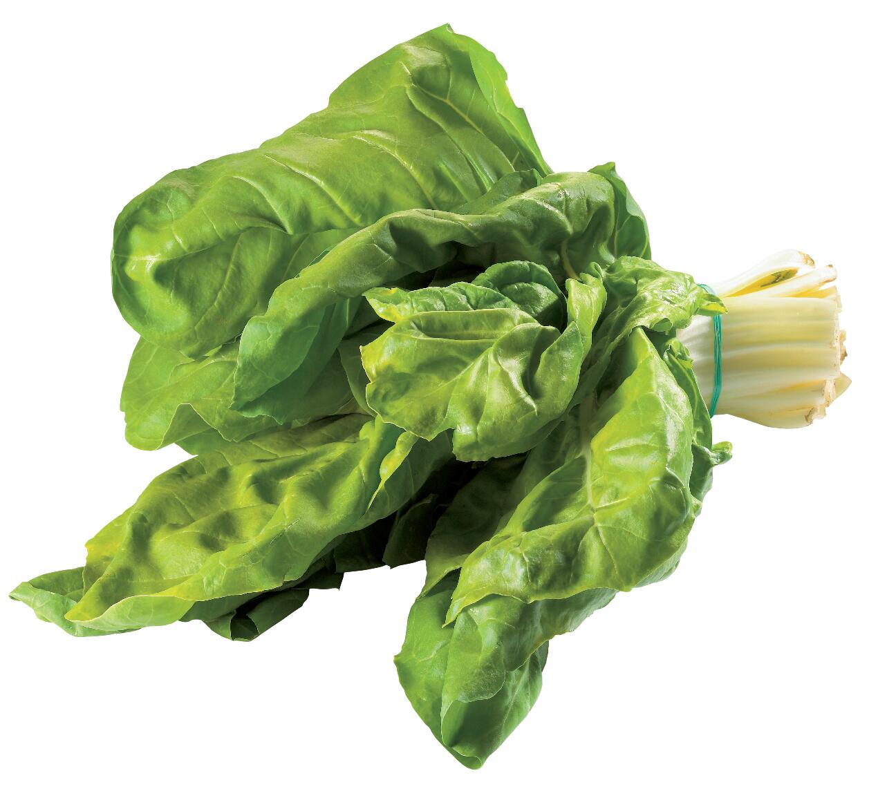 Acelga-x-1-Kg-_1.jpg?v=638599371522970000